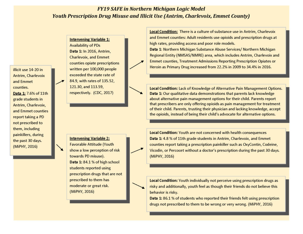 Logic Model Prescription Drugs SAFE Northern Michigan