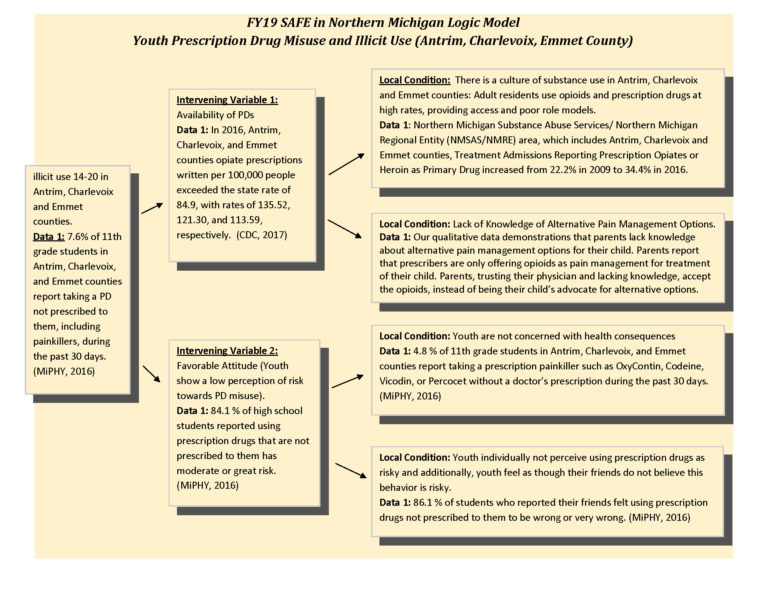 Logic Model Prescription Drugs SAFE Northern Michigan