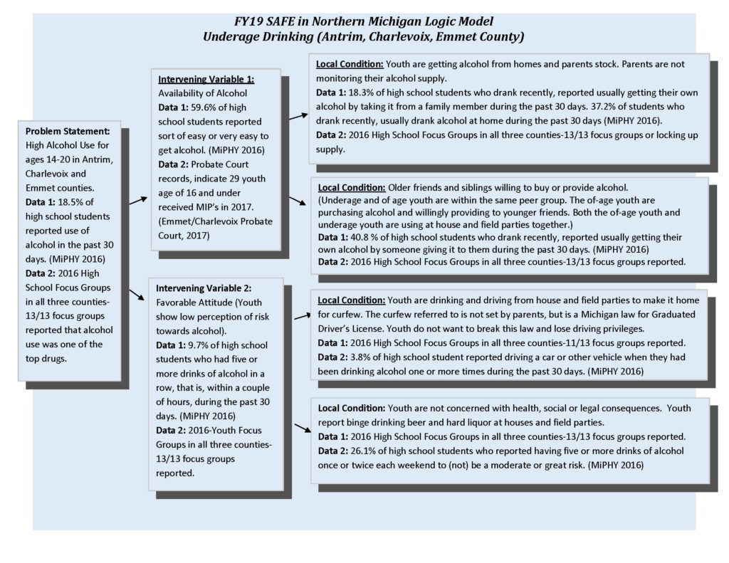 Logic Model Underage Drinking SAFE Northern Michigan