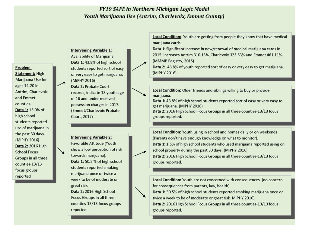 Logic Model Youth Marijuana SAFE Northern Michigan